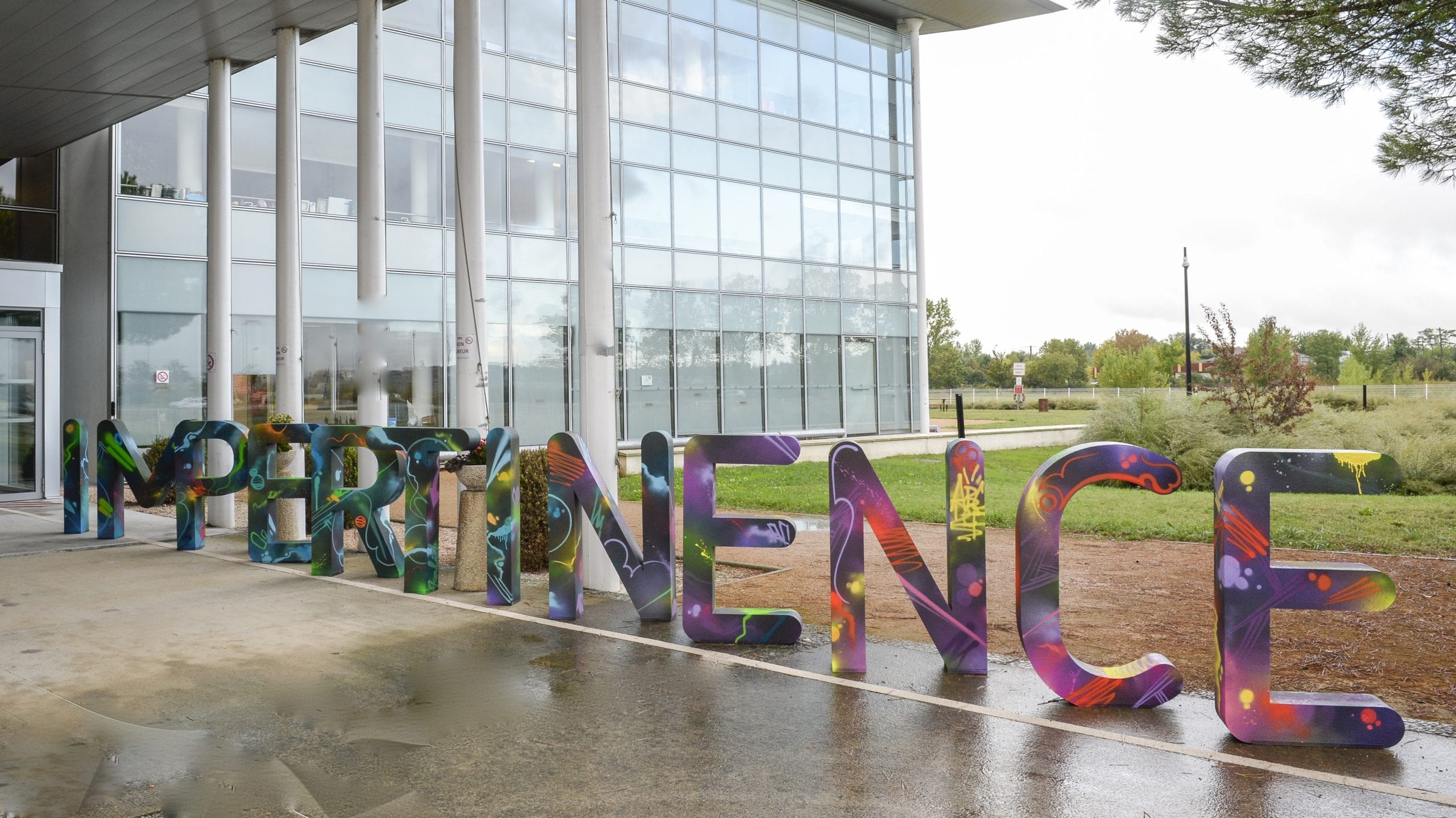 IMPERTINENCE - Gros mots